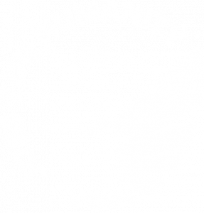 Our Portfolio - BDev Ventures